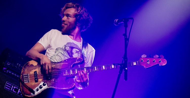 Wulf artiest informatie op Festivalinfo