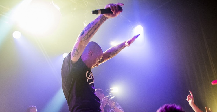 Steen artiest informatie op Festivalinfo