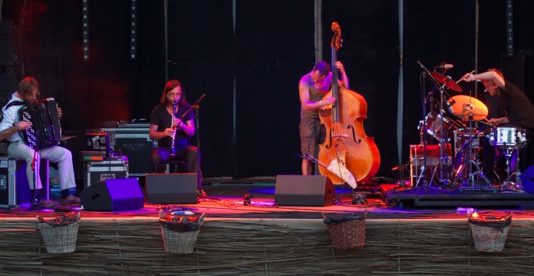 Concert DAAU in Doornroosje, Nijmegen op 24 november 2013