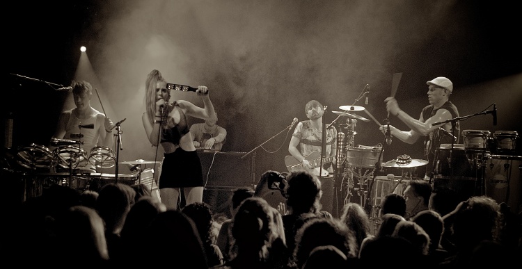 Skip & Die artiest informatie op Podiuminfo