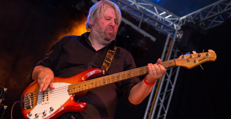 Guy Swinnen artiest informatie op Festivalinfo