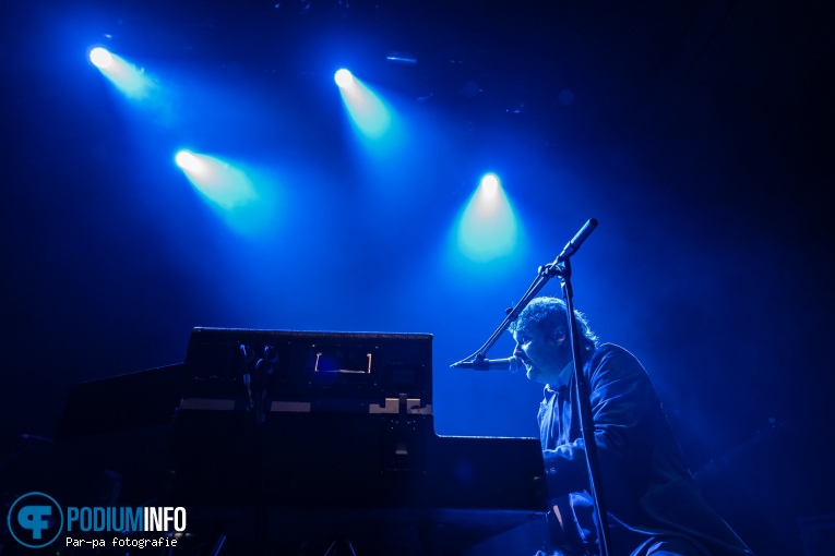 Foto Novastar in Paard op 01 May 2019 op Podiuminfo. Foto 5 van 15.