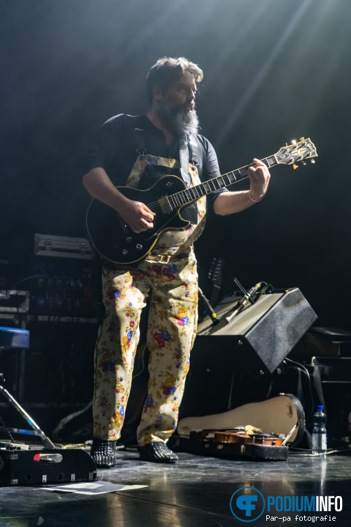 Foto Novastar in Paard op 01 May 2019 op Podiuminfo. Foto 5 van 15.